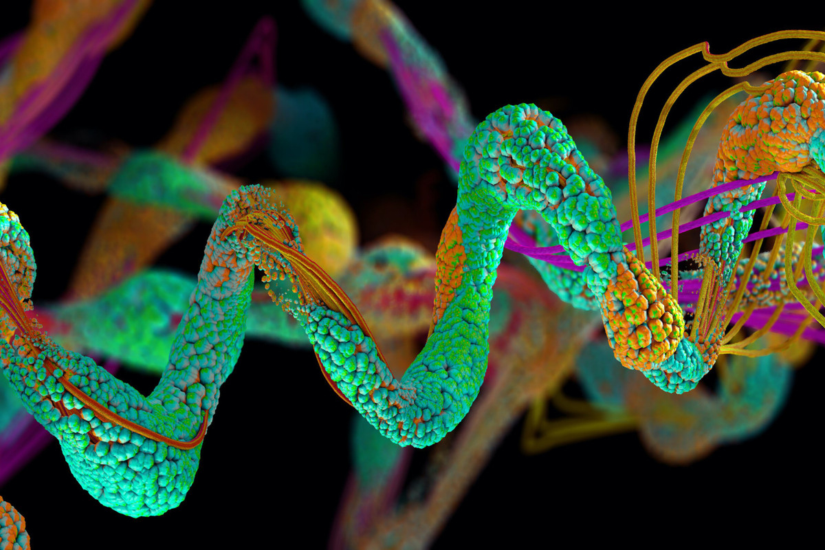 AlphaFold ou comment Google préserve sa santé | Paperjam News