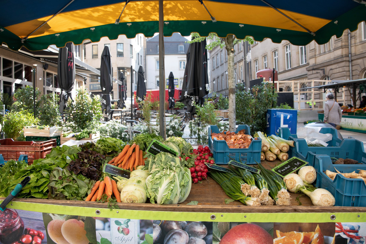 Annual inflation in Luxembourg rises to 2.0% in May | Paperjam English News