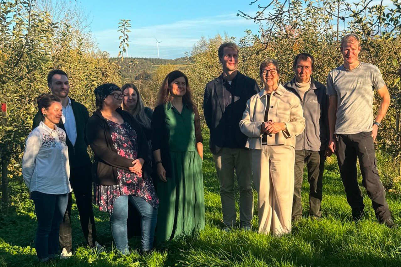 Co-Labor launches a therapeutic workshop | Paperjam English News