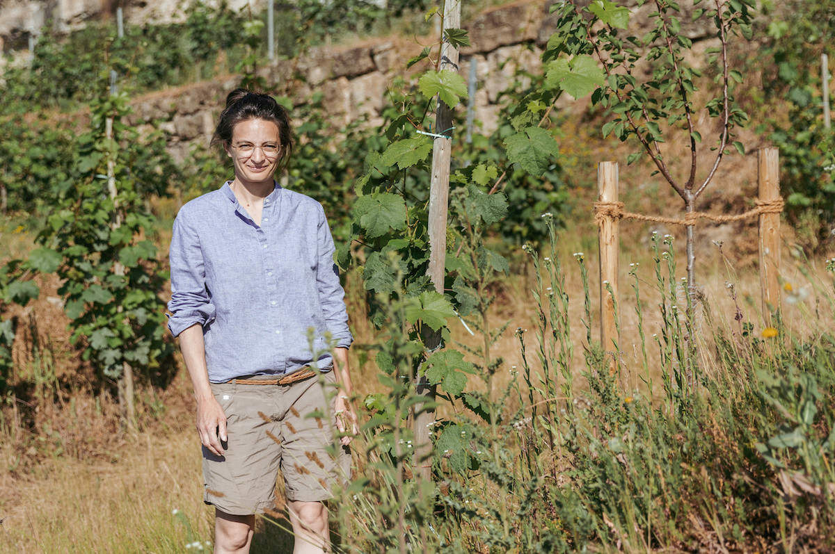 Corinne Kox, the wine biologist | Paperjam English News