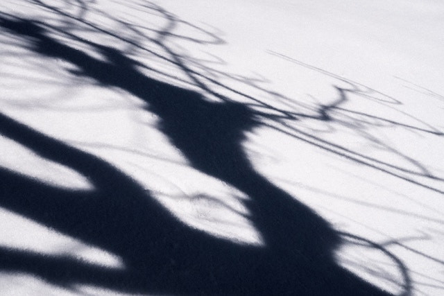 10 dispiriting findings on human nature | Delano News