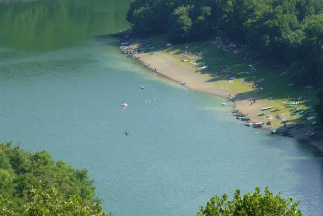 Blue algae closes part of Upper Sûre lake | Paperjam English News