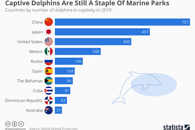Captive dolphins are still a staple of marine parks | Delano News