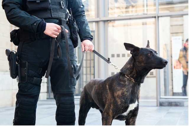 Police crackdown on drug trafficking gang | Delano News