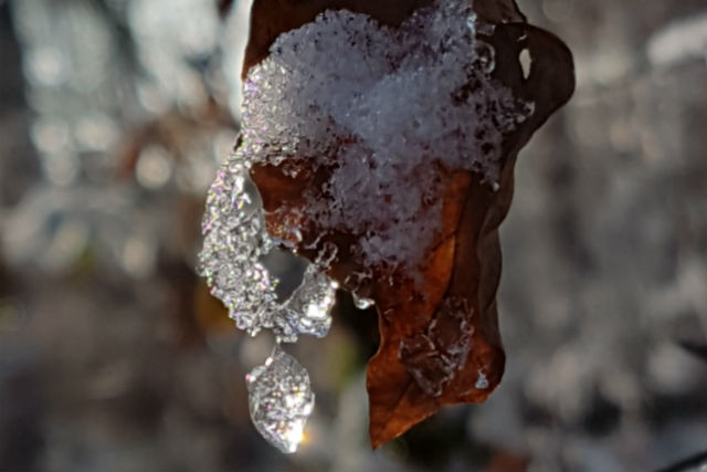 Readers’ snow photos | Delano News