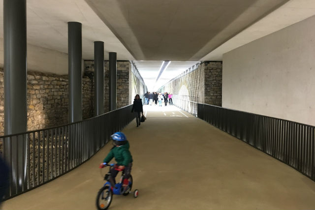 Thousands reclaim Lux. City's streets | Delano News