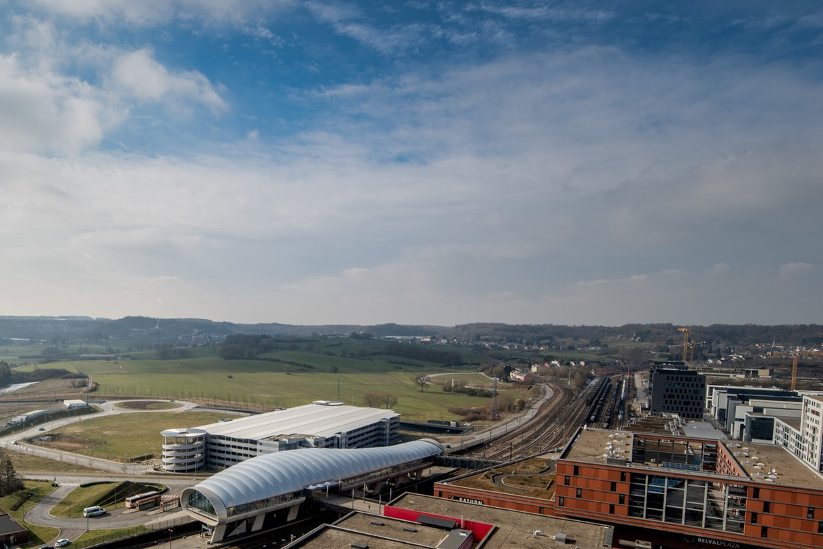 Understanding the cross-border worker phenomenon | Delano News