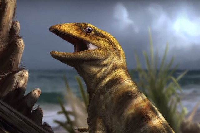 World’s oldest lizard fossil forces rethink of reptile family tree ...