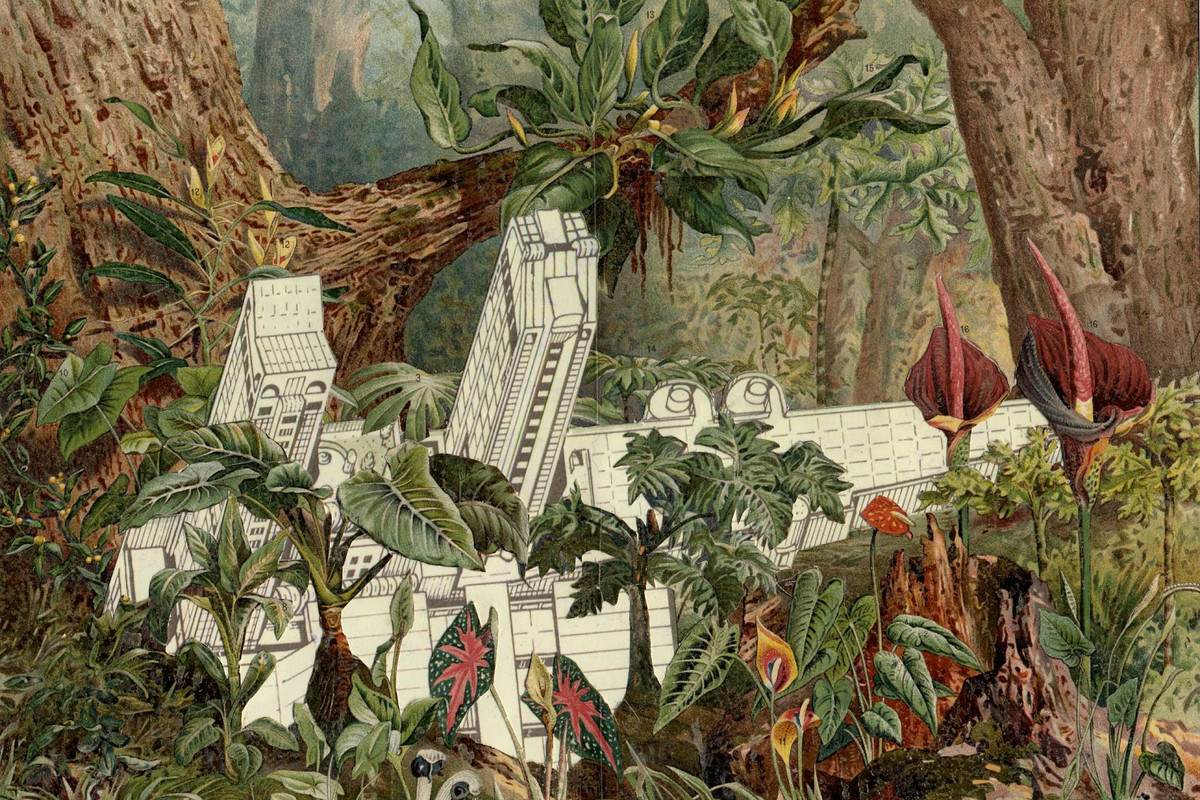 Exhibition in Esch: Bert Theis, unsung Luxembourgish collage artist ...