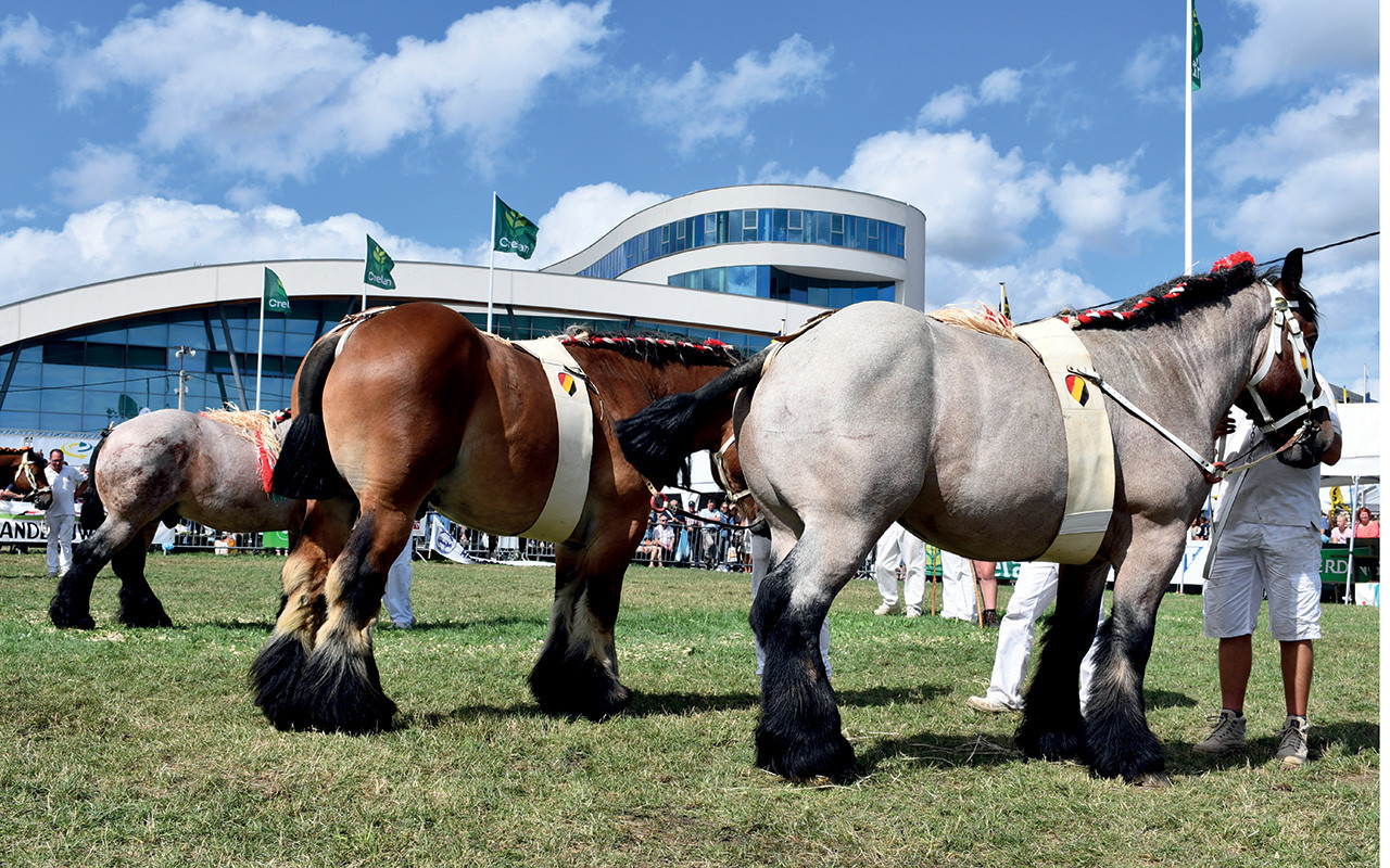 La Foire agricole de Libramont attend 220.000 visiteurs | Paperjam News