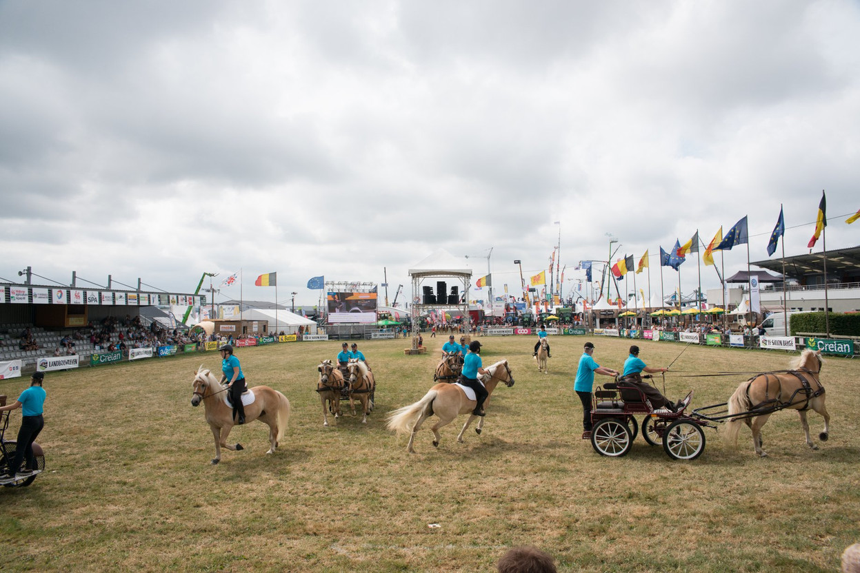 La Foire agricole de Libramont attend 220.000 visiteurs | Paperjam News