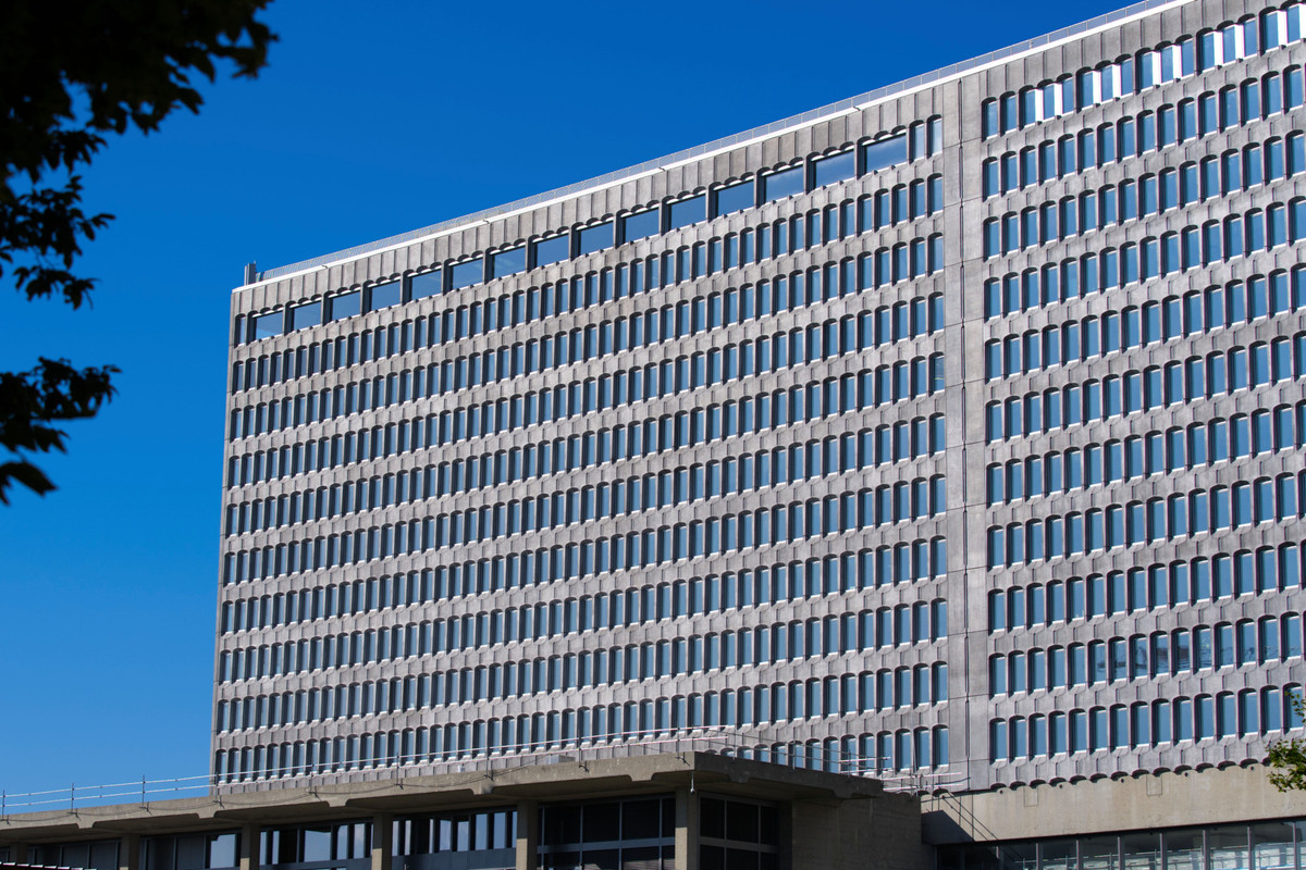 Global labour income share falls, inequality increases: ILO | Paperjam ...