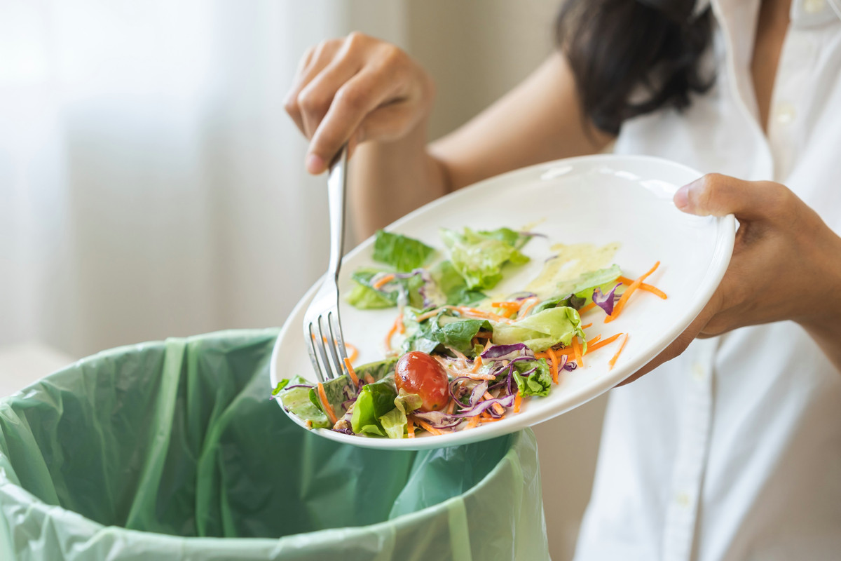 IMS launches “The Good Fork”, a competition for sustainable food ...
