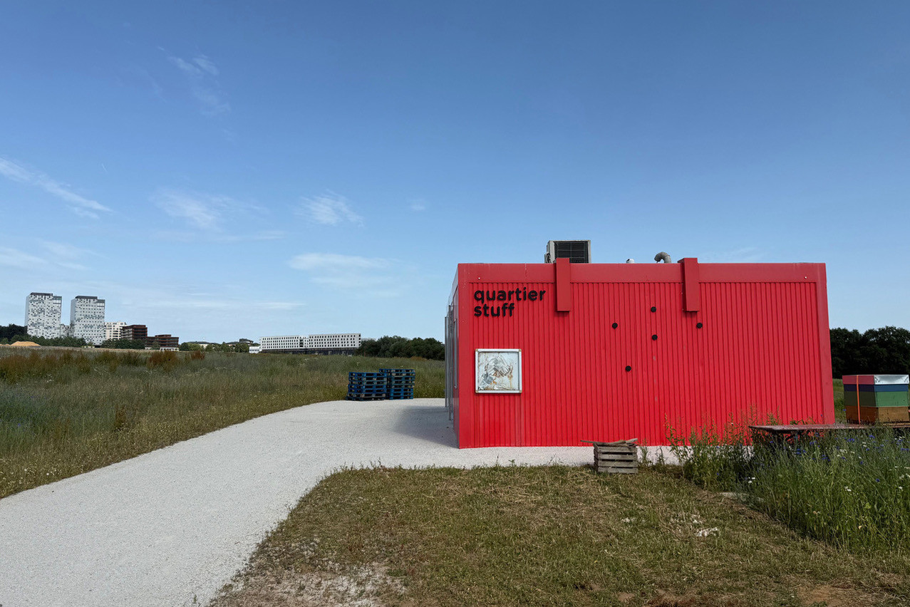 Kuebebierg: le poumon vert du Kirchberg se dévoile sur deux jours | Paperjam News