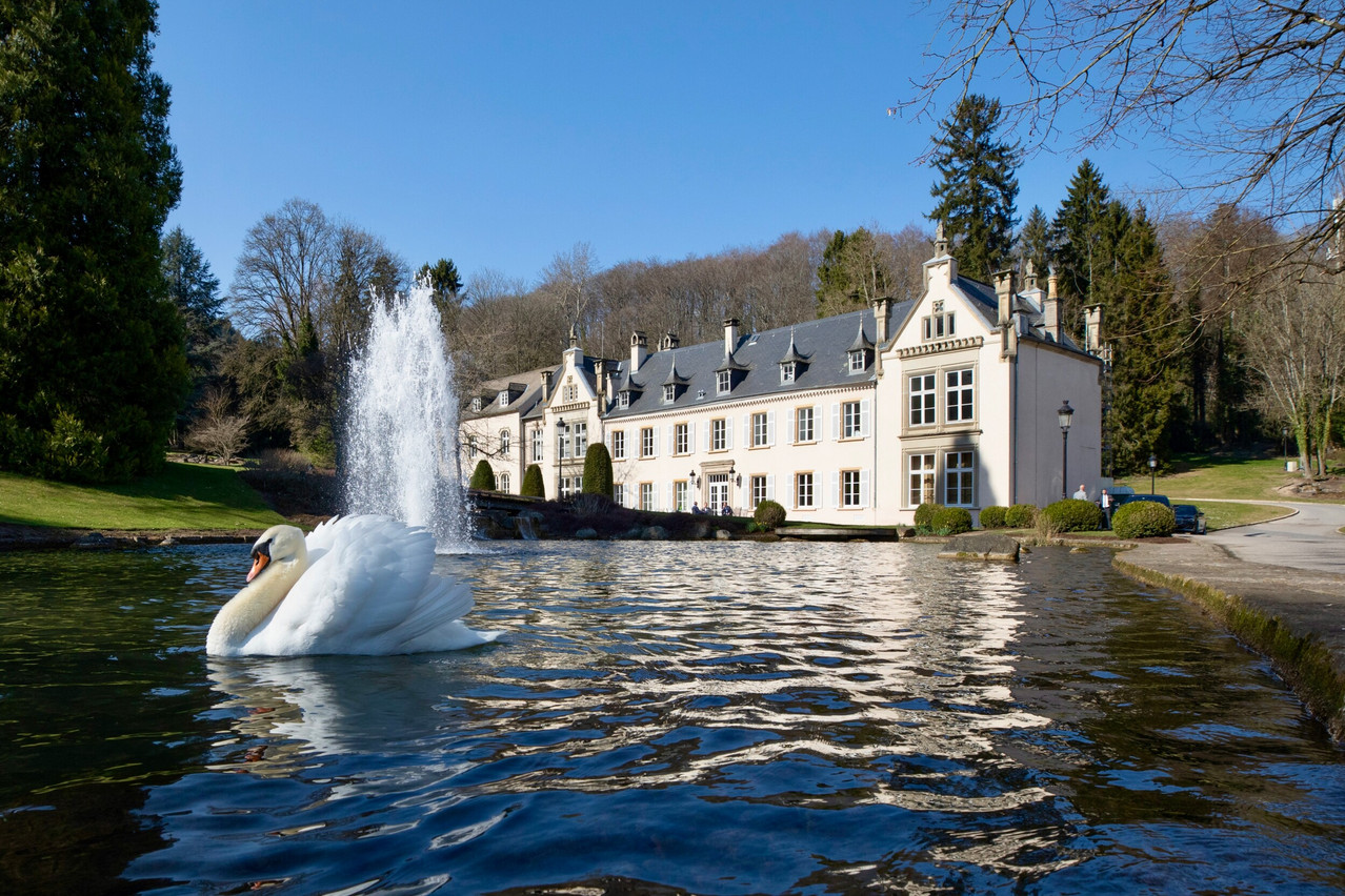 Le sommet tripartite énergie remet le pouvoir d’achat à l’ordre du jour ...
