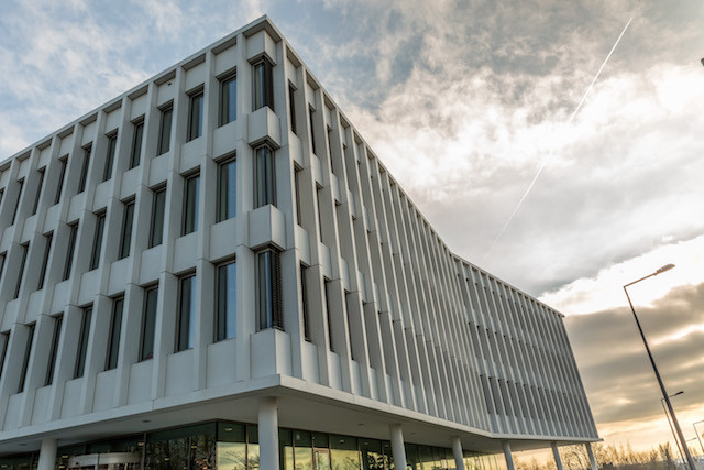 Les Manco de plus en plus actives au Luxembourg | Paperjam News