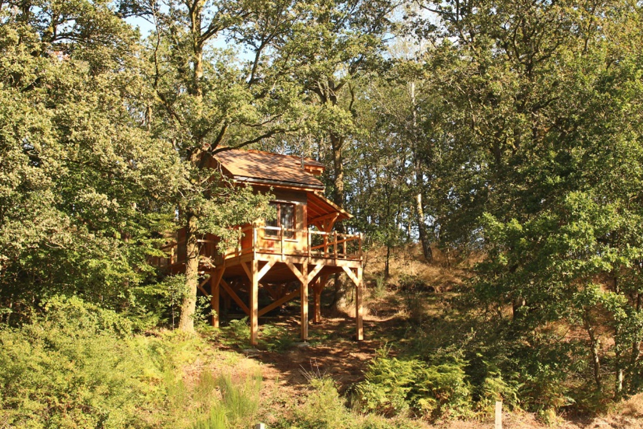 Des lits dans les arbres et un atelier des cimes | Paperjam News