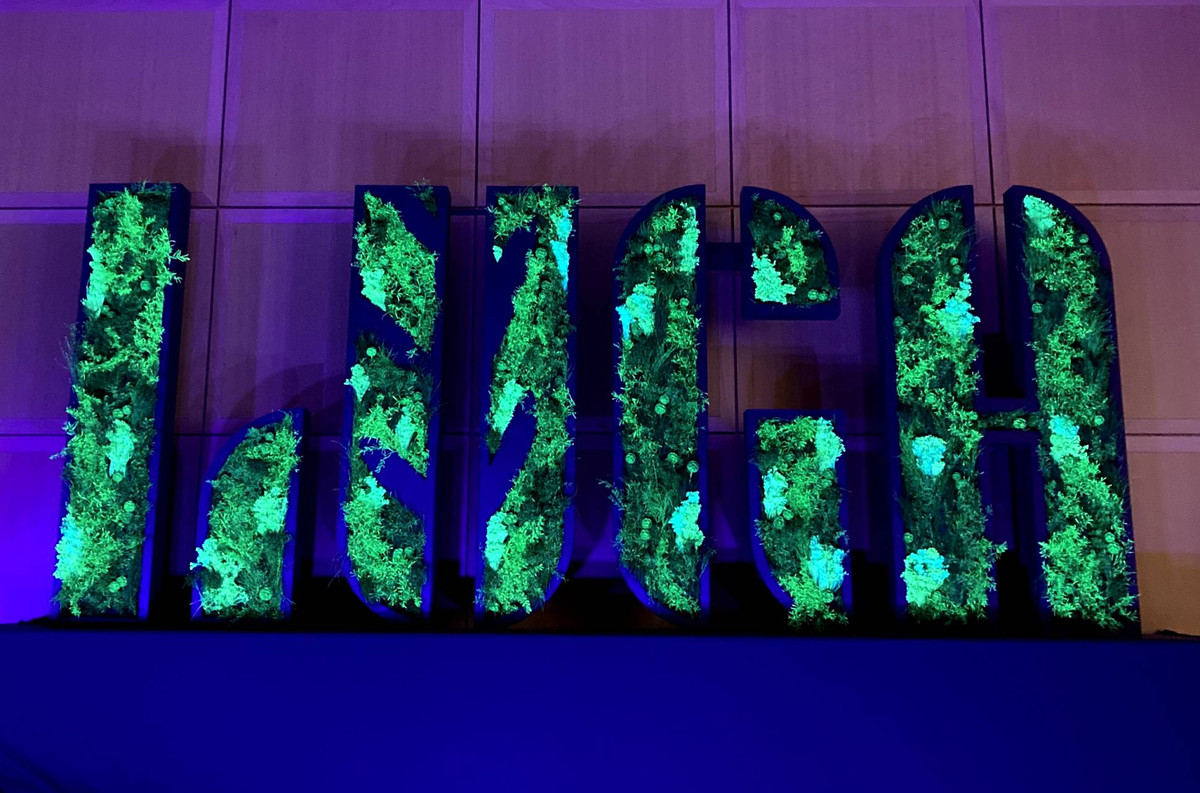 Luga 2025, pour réfléchir à l’écologie urbaine | Paperjam News