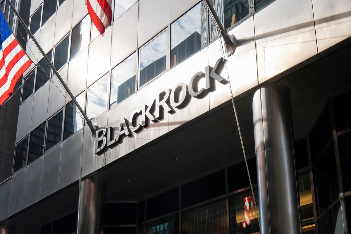 “Mega forces” for private market investments in 2024: Blackrock ...