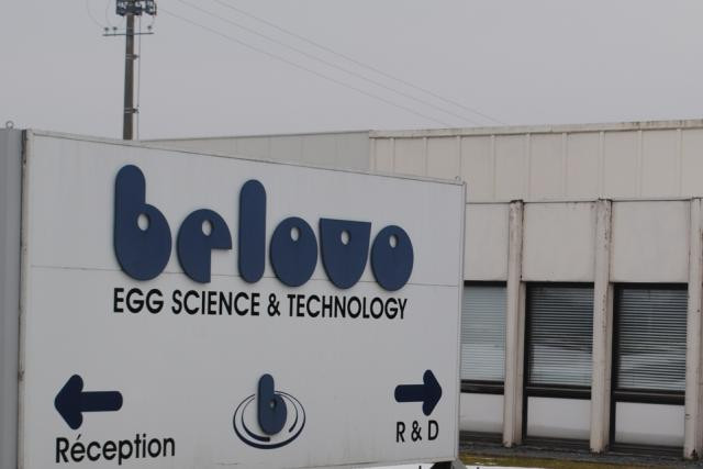 Belovo: l’œuf parfait perd toutes ses plumes | Paperjam News