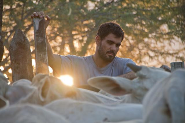 Des taureaux et des hommes | Paperjam News