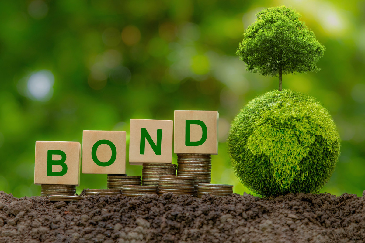 One in five impact bonds fail to meet genuine impact criteria: survey ...