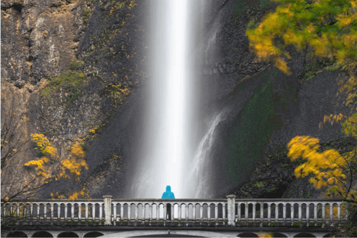 Rob Lovelace on the year ahead | Delano News