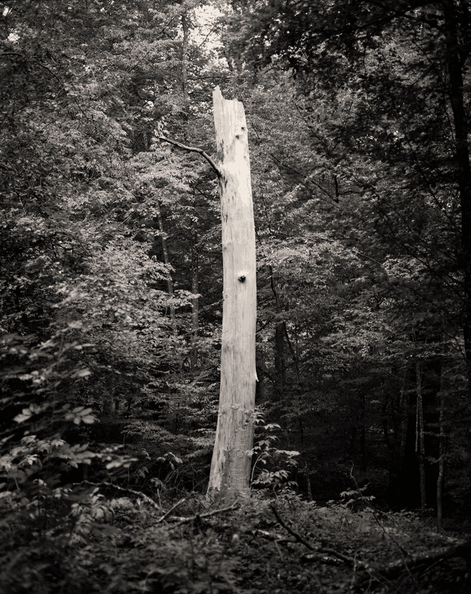 Schaufenster 3, dernières vitrines avant l’ouverture | Paperjam News