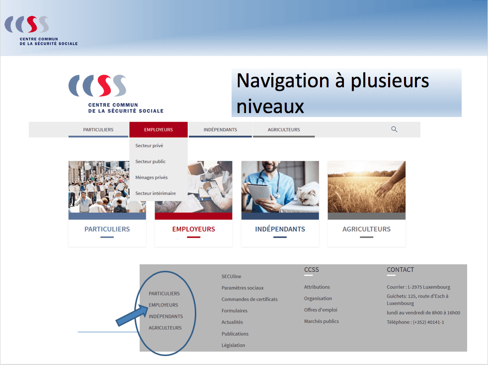 Le site internet du CCSS a fait sa mue | Paperjam News