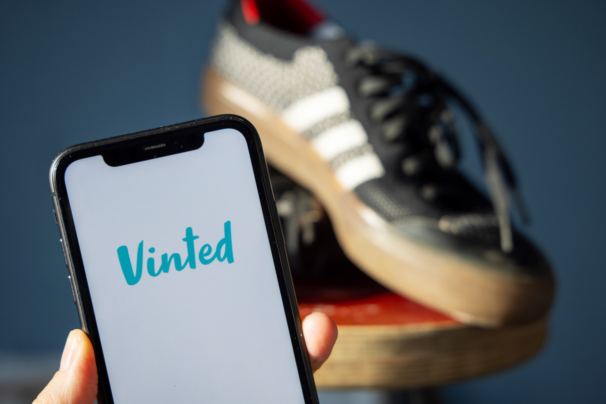 Vinted turns 1st profit as secondhand clothing market picks up | Delano ...